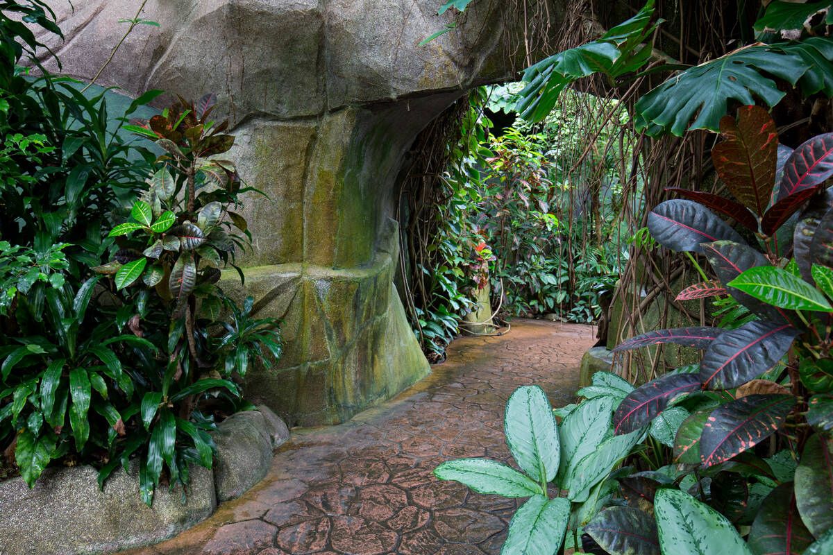 70 Things to do in Victoria, BC this Fall (2025) | Kenmore Air