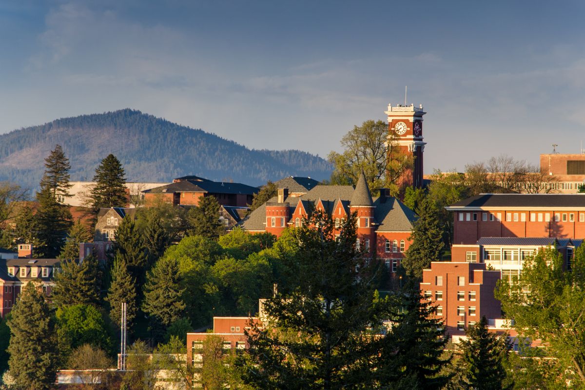 How to Plan a WSU Football Weekend from Seattle | Kenmore Air