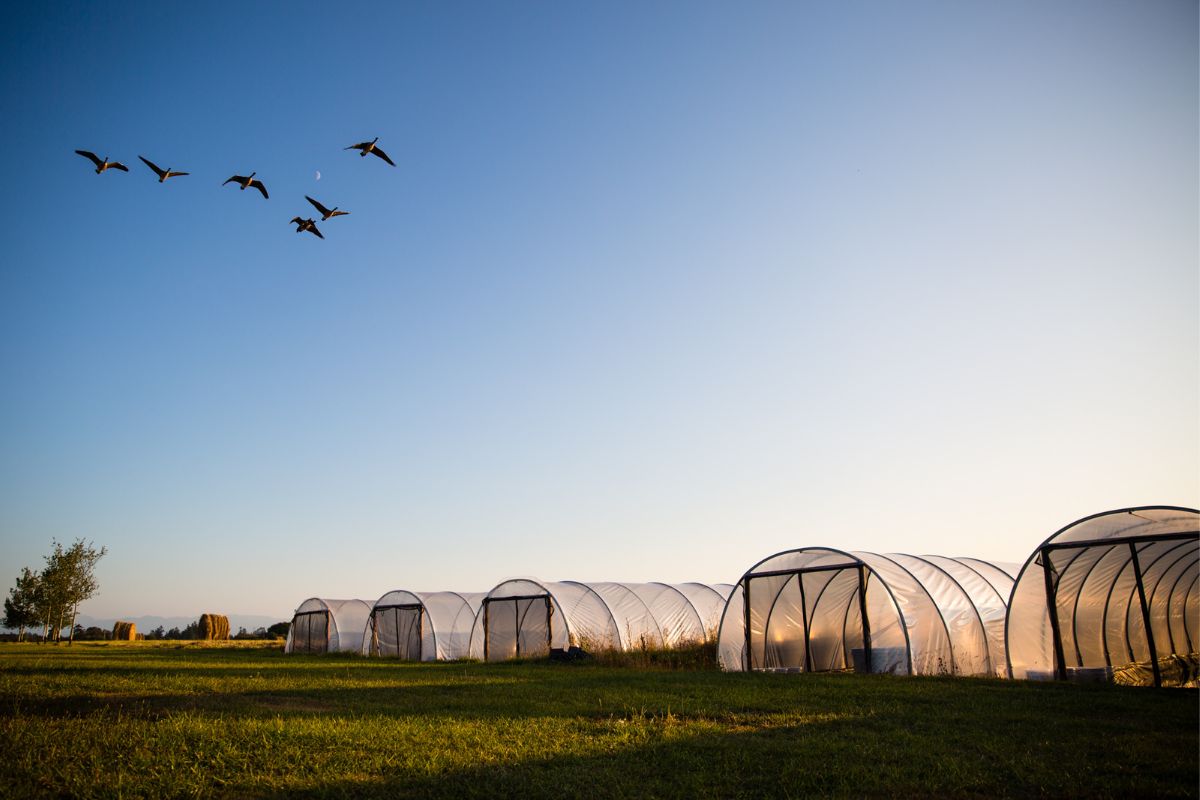 The Magic of Salt | Kenmore Air