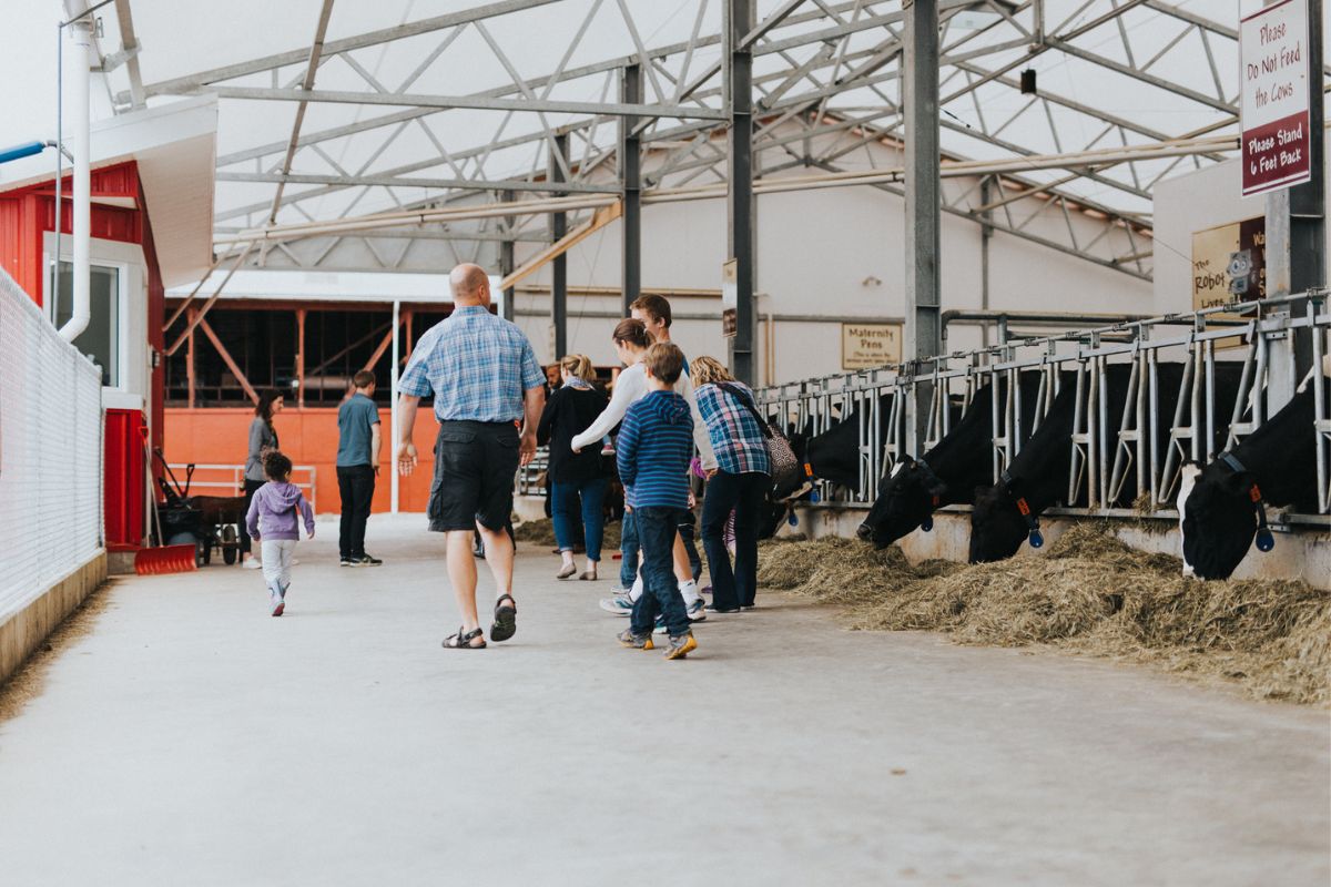 Family-Friendly Fun on Vancouver Island | Kenmore Air