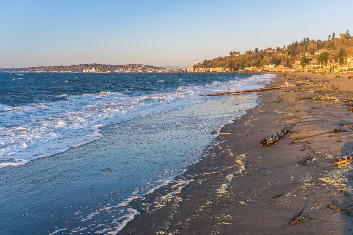 30 Things to Do in Seattle this Spring (2025) | Kenmore Air