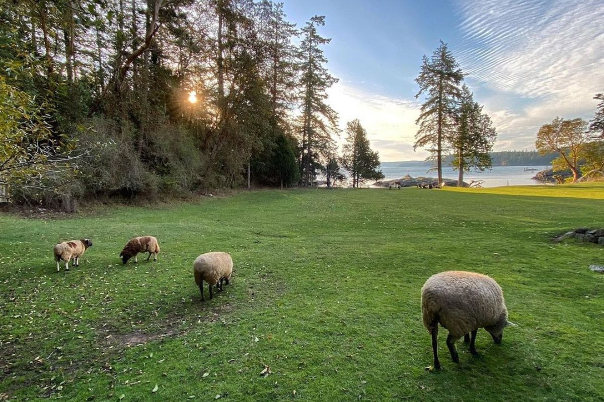 Where to Stay on Orcas Island | Kenmore Air