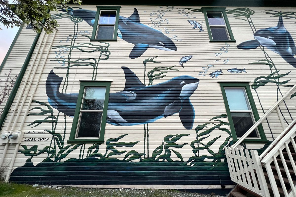 15 Best Friday Harbor Things To Do (2025) | Kenmore Air