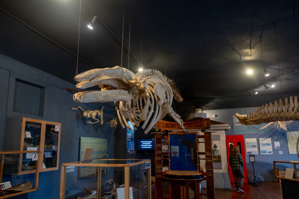 The Whale Museum on San Juan Island | Kenmore Air