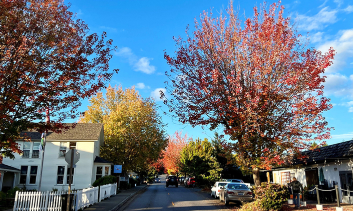 Seattle to Orcas Island Flights | Eastsound Airport | Kenmore Air