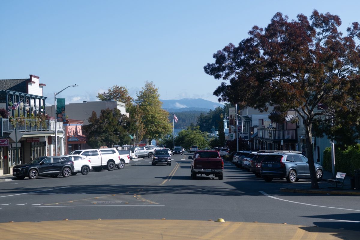 15 Best Friday Harbor Things To Do (2025) | Kenmore Air