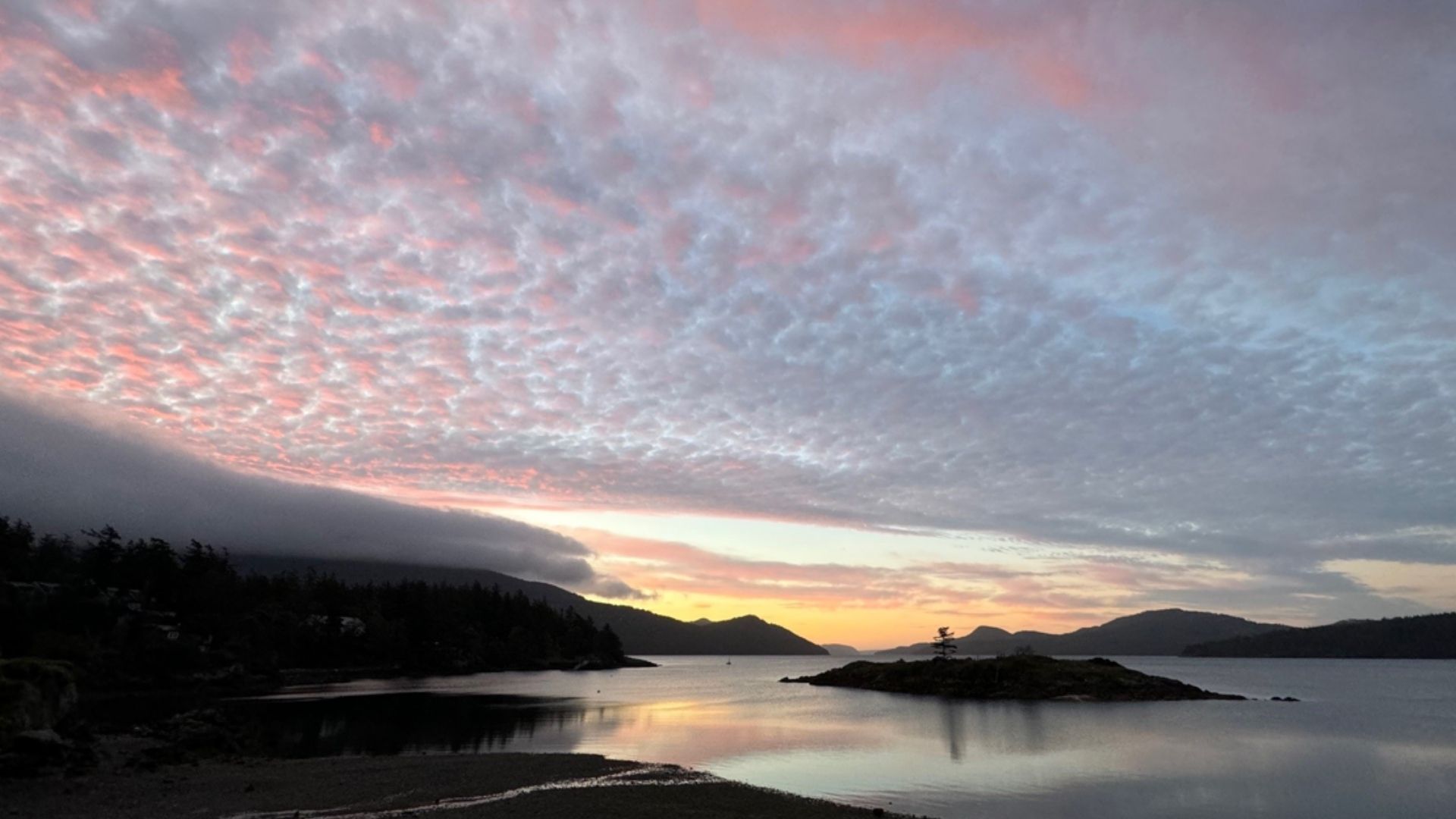 Best Orcas Island Restaurants: A Food Lover’s Guide | Kenmore Air